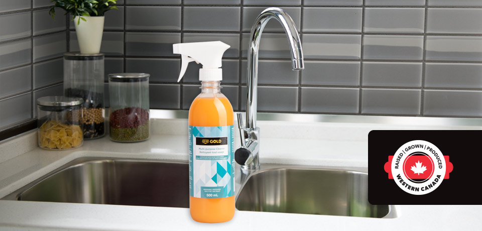 Multi-purpose and made to shine