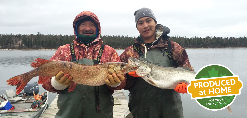 Hooked on Sask. fish