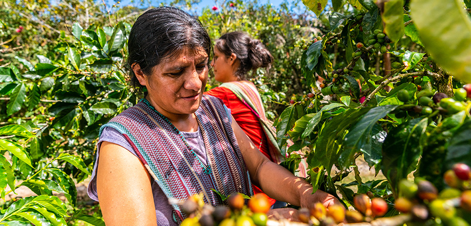Empowering women with Co-operative Coffee